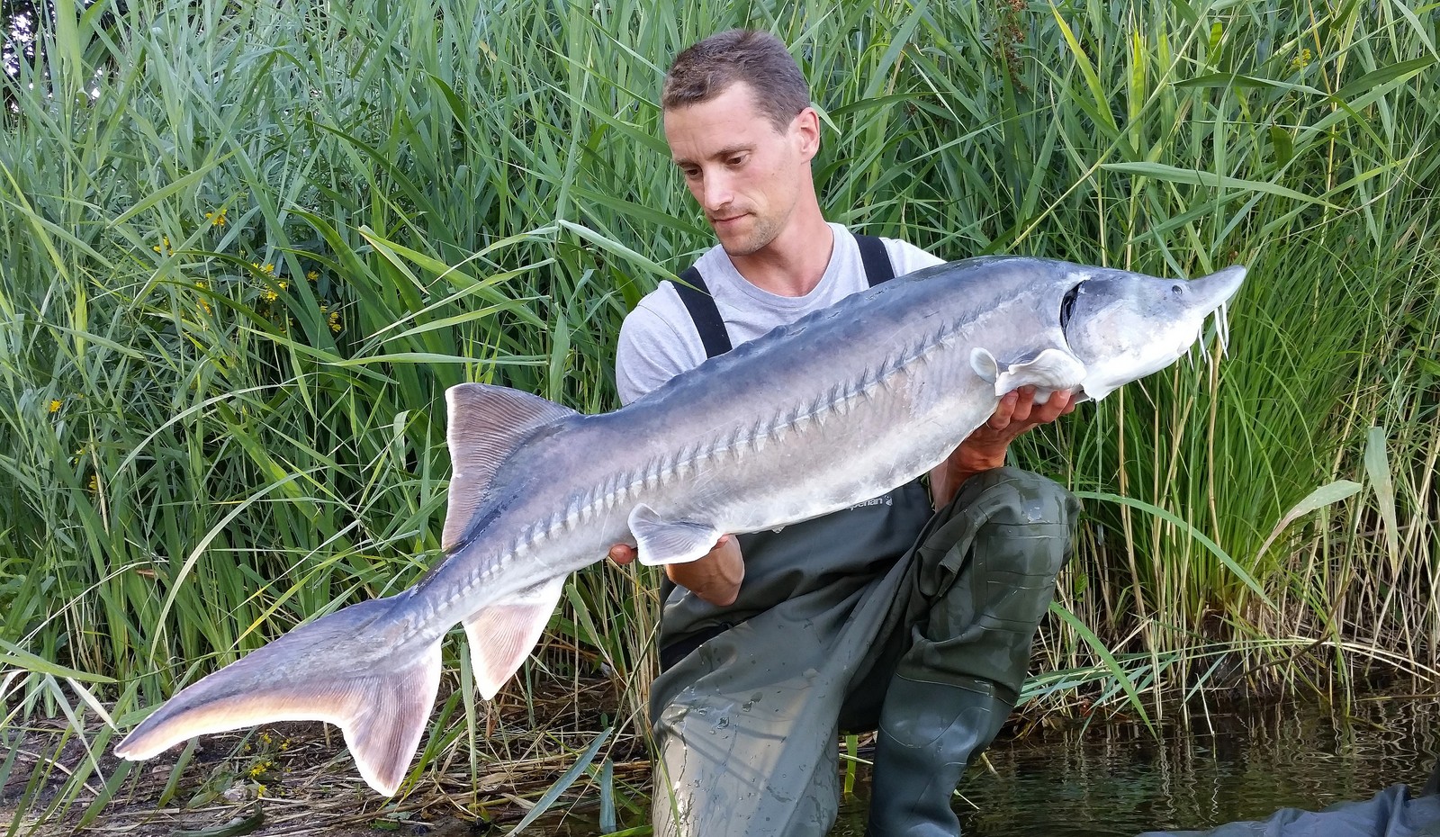 Session Carpe et Esturgeon -Top Session 2015